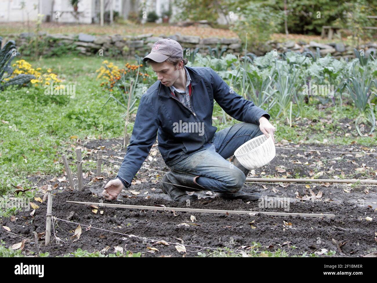 Landon Jefferies plants a German variety of garlic in Philadelphia ...
