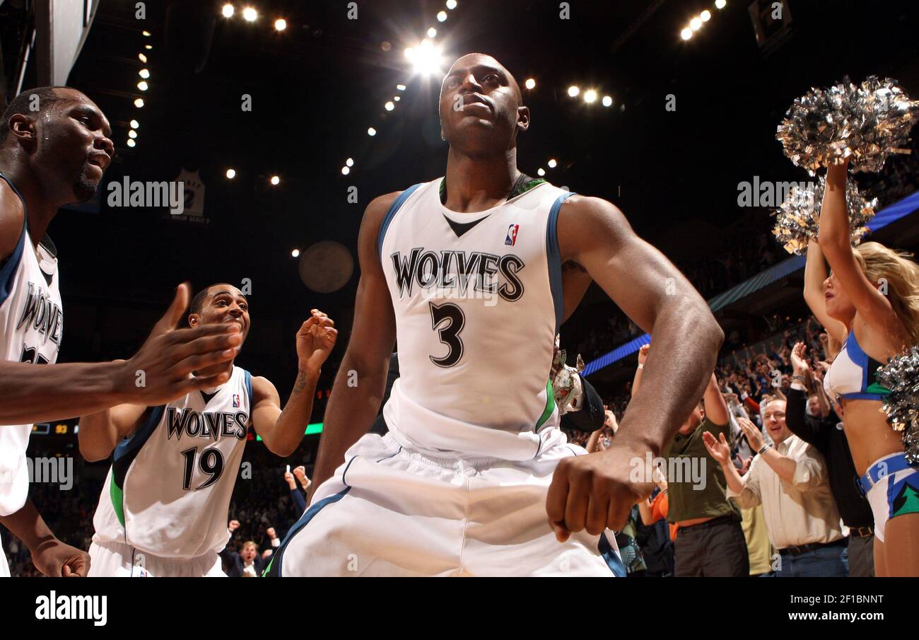 Minnesota Timberwolves Damien Wilkins (3) celebrates at the end of ...