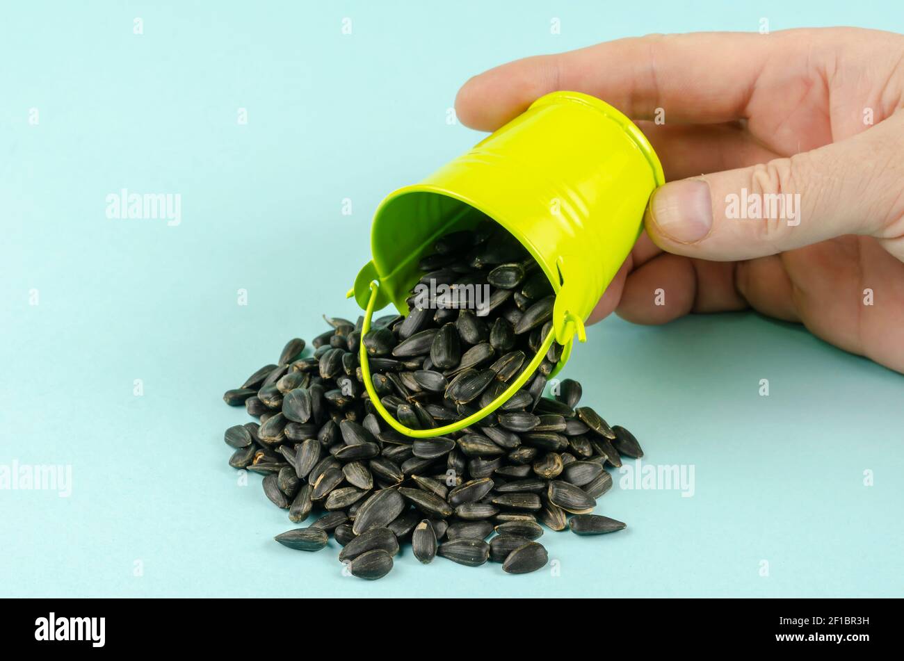 Roasted sunflower seeds, bucket and hand on a light blue background. A ...