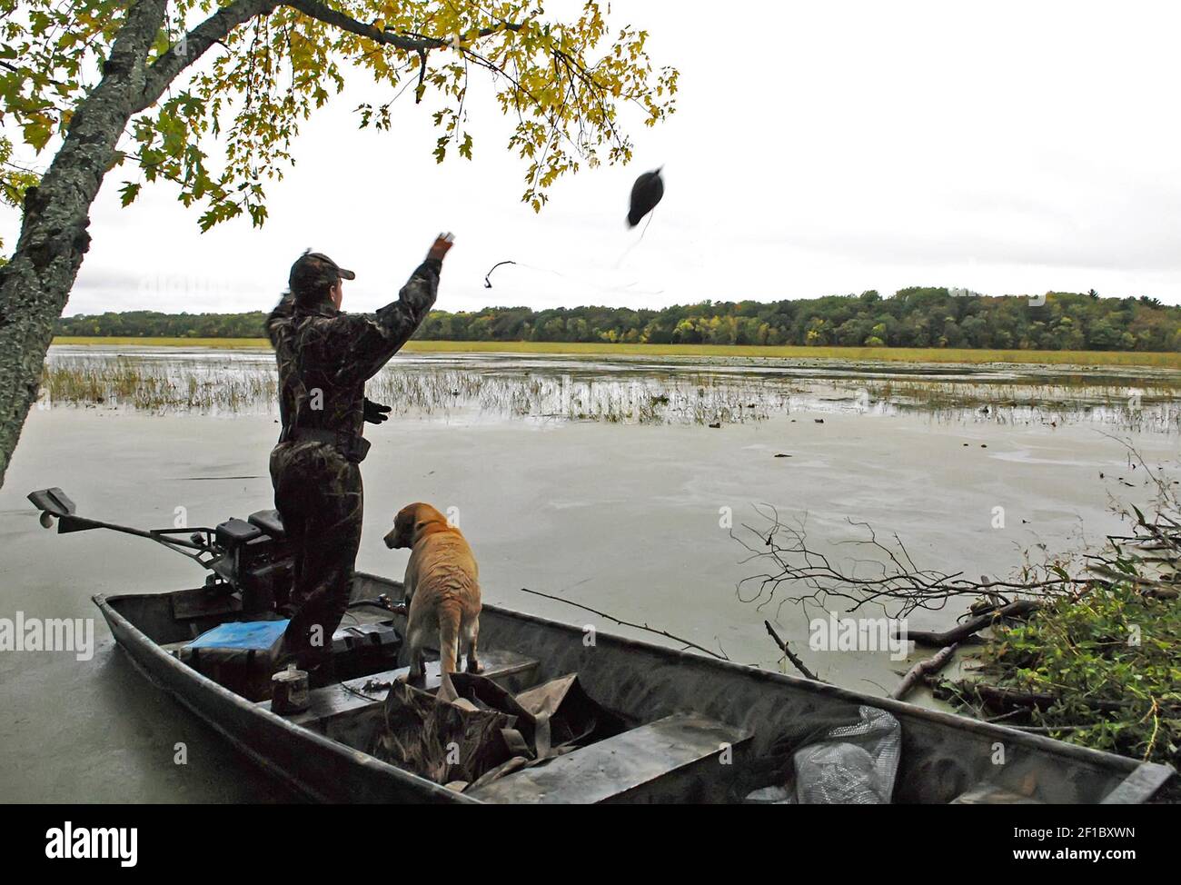 A hunter places decoys for duck hunting in Minnesota in this 2009 file ...
