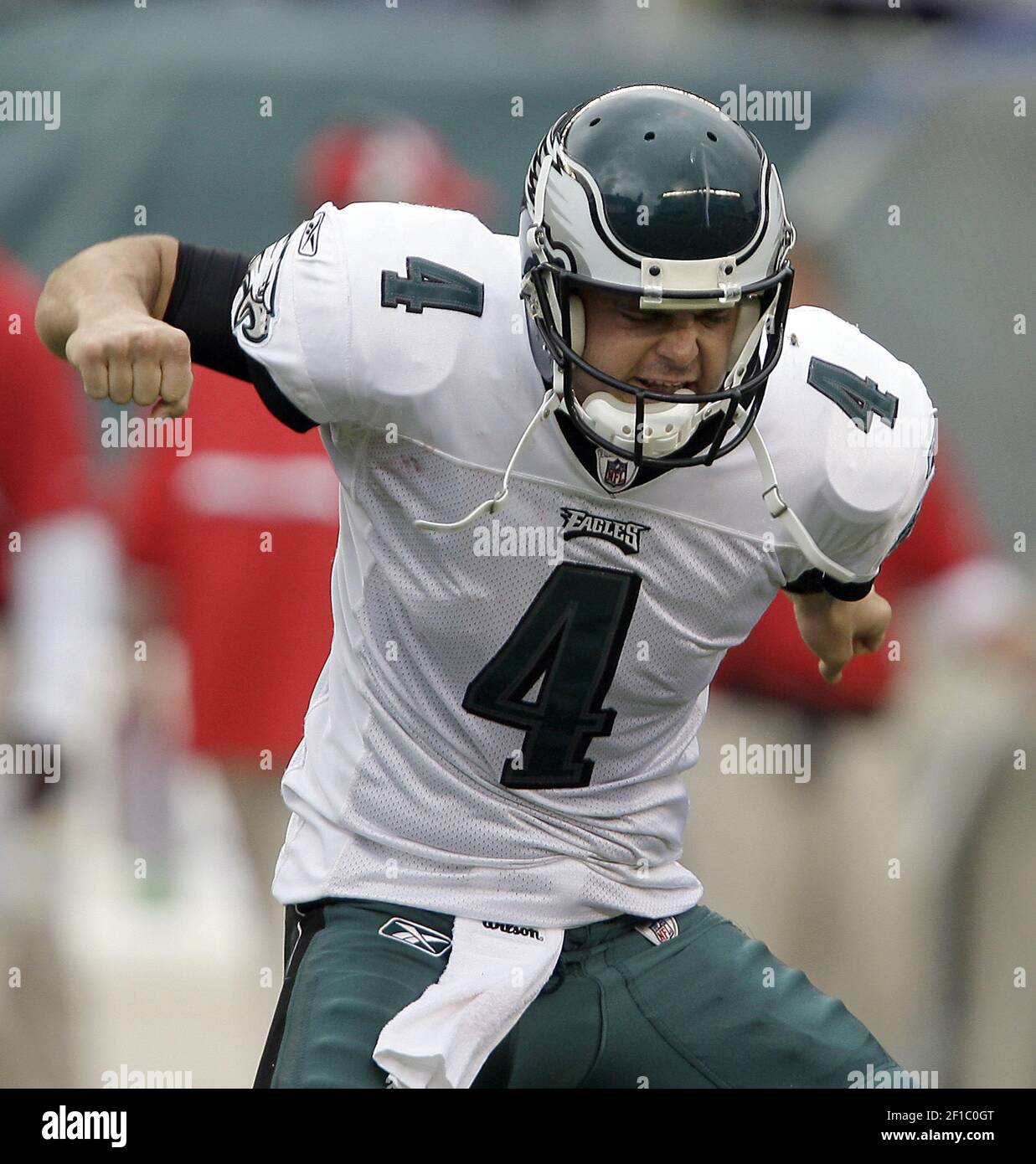 Philadelphia eagles quarterback Kevin Kolb celebrates his touchdown ...