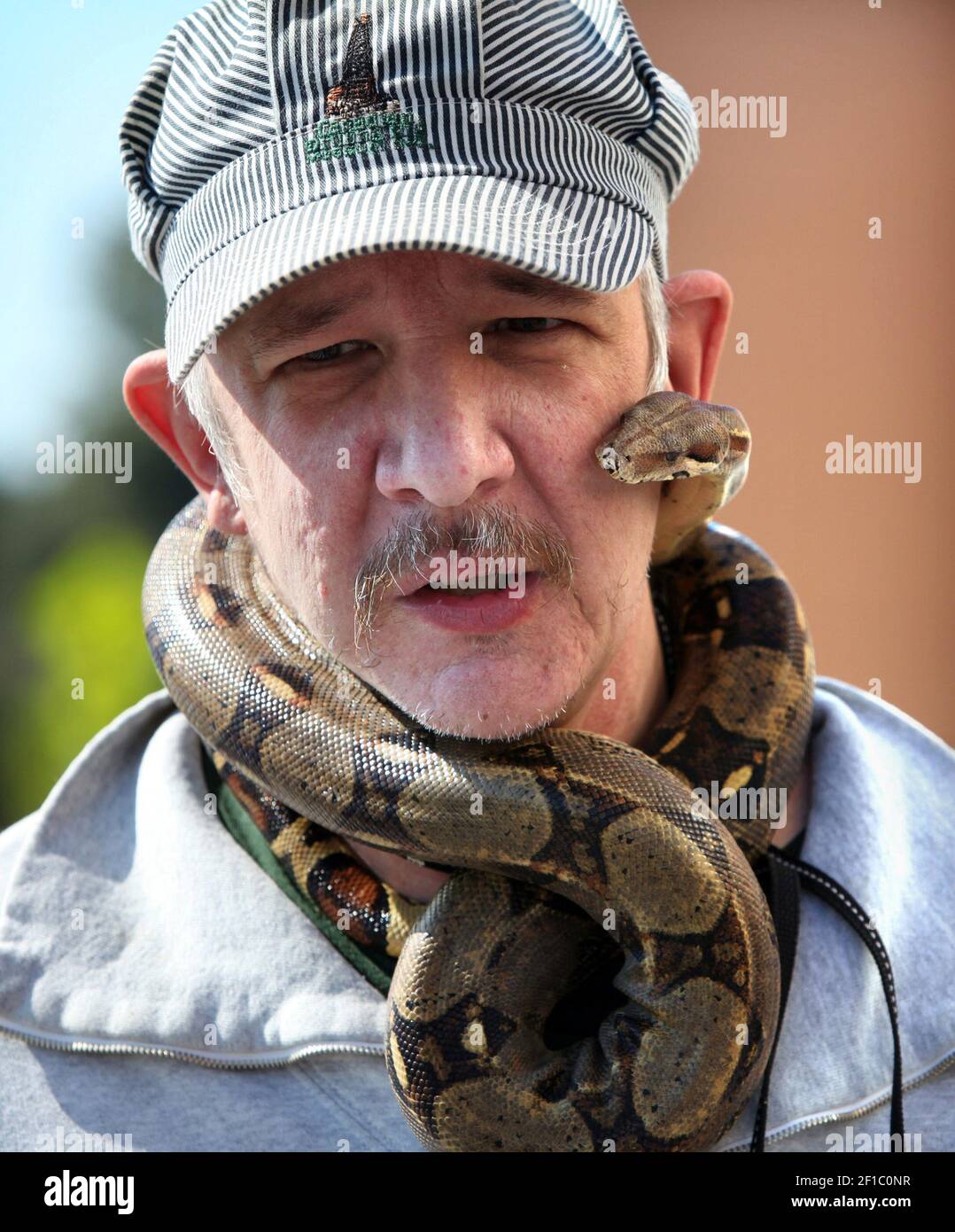 Daniel Greene has his 4 1/2-foot boa constrictor, Red Rock, wrapped ...