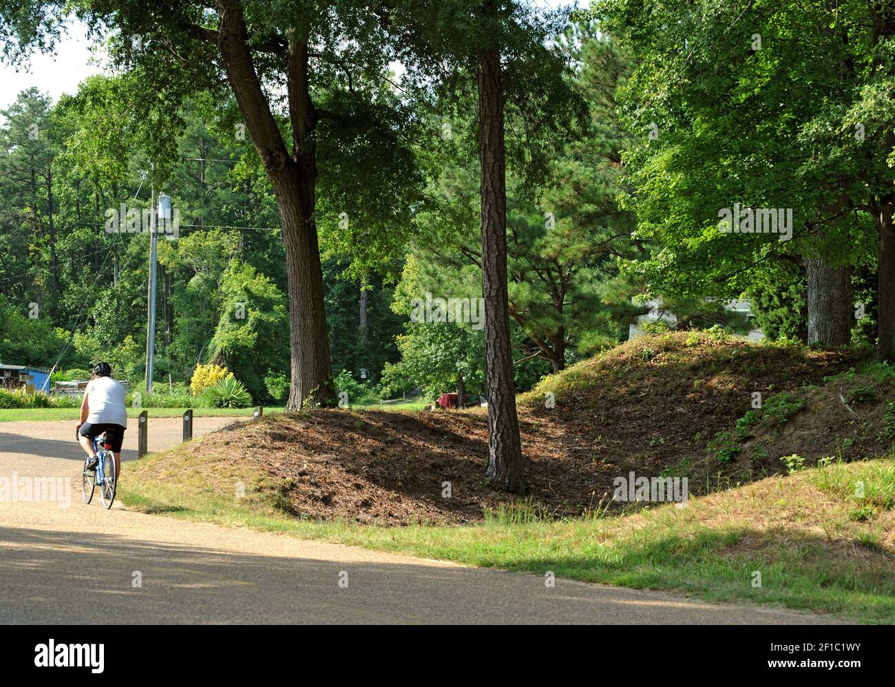 A cyclists approaches a sharp bend in Battlefield Park Road that passes ...