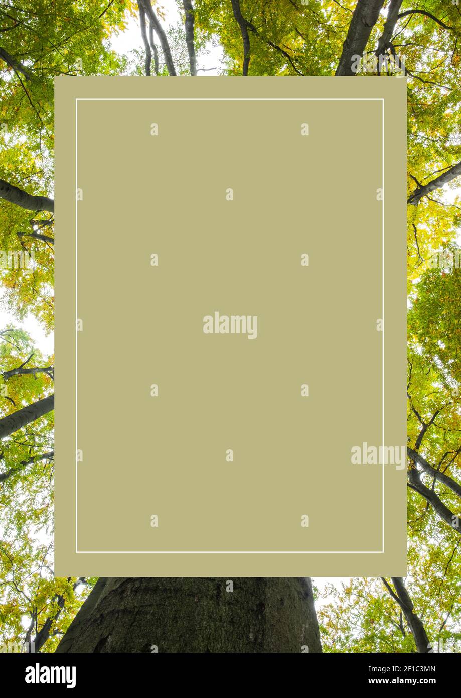 Frame with copy space on green background with forest surround Stock ...