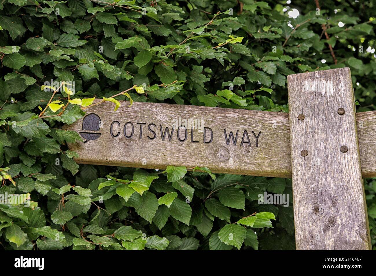 Cotswold way sign directing left Stock Photo - Alamy