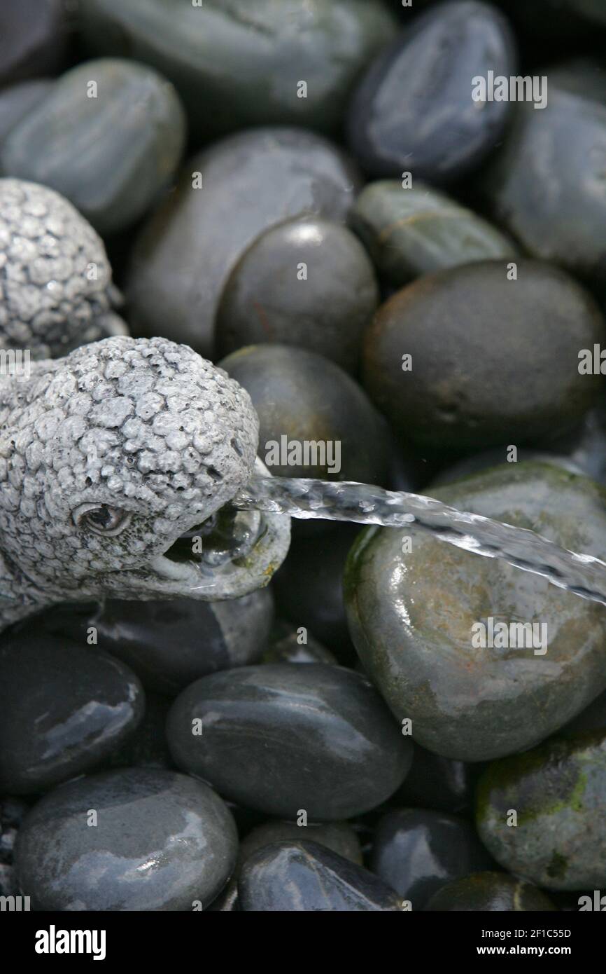 Water flows from a turtle "spitter" in an example of one of the various ...