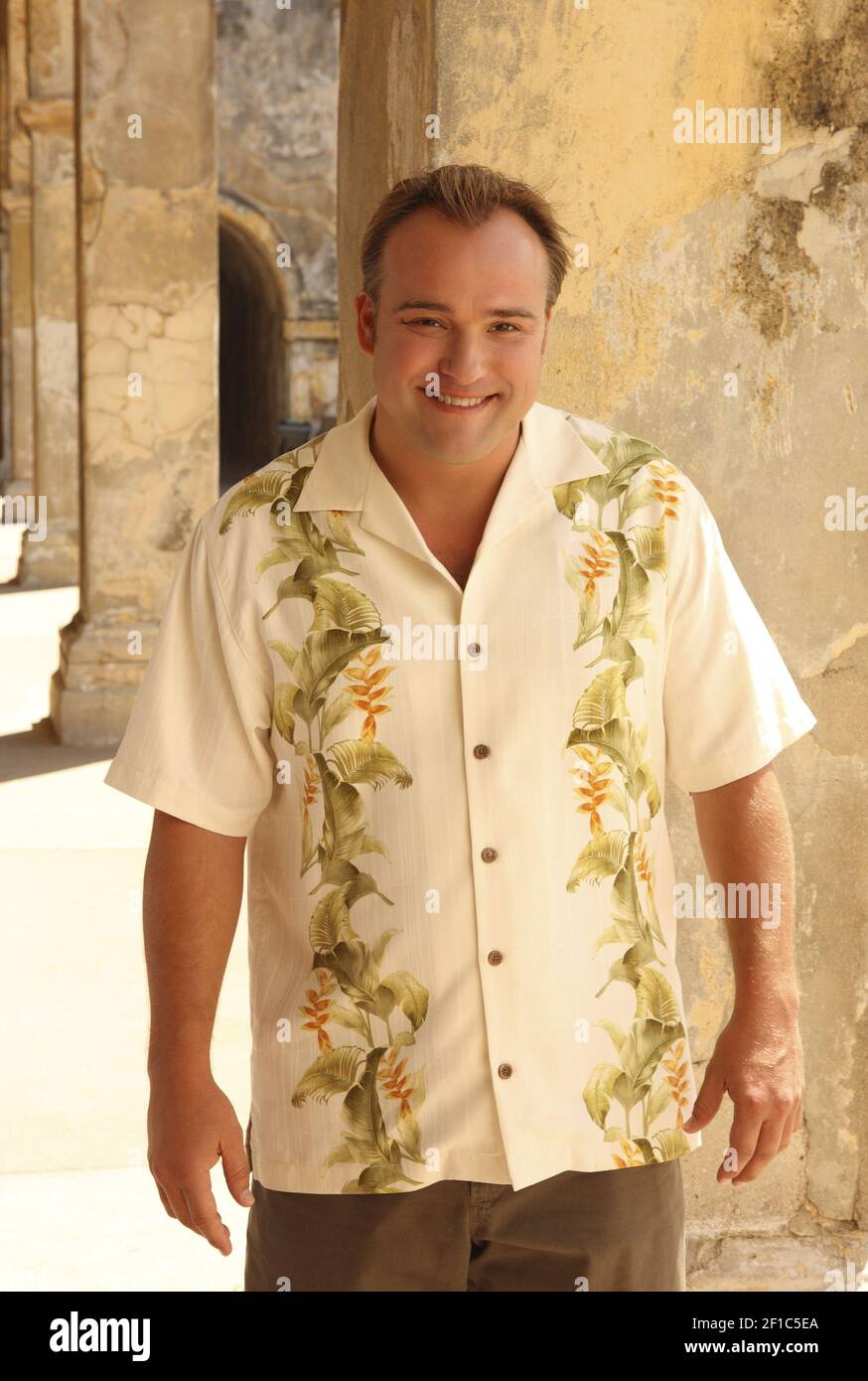 David DeLuise stars on the Disney series "Wizards of Waverly Place ...