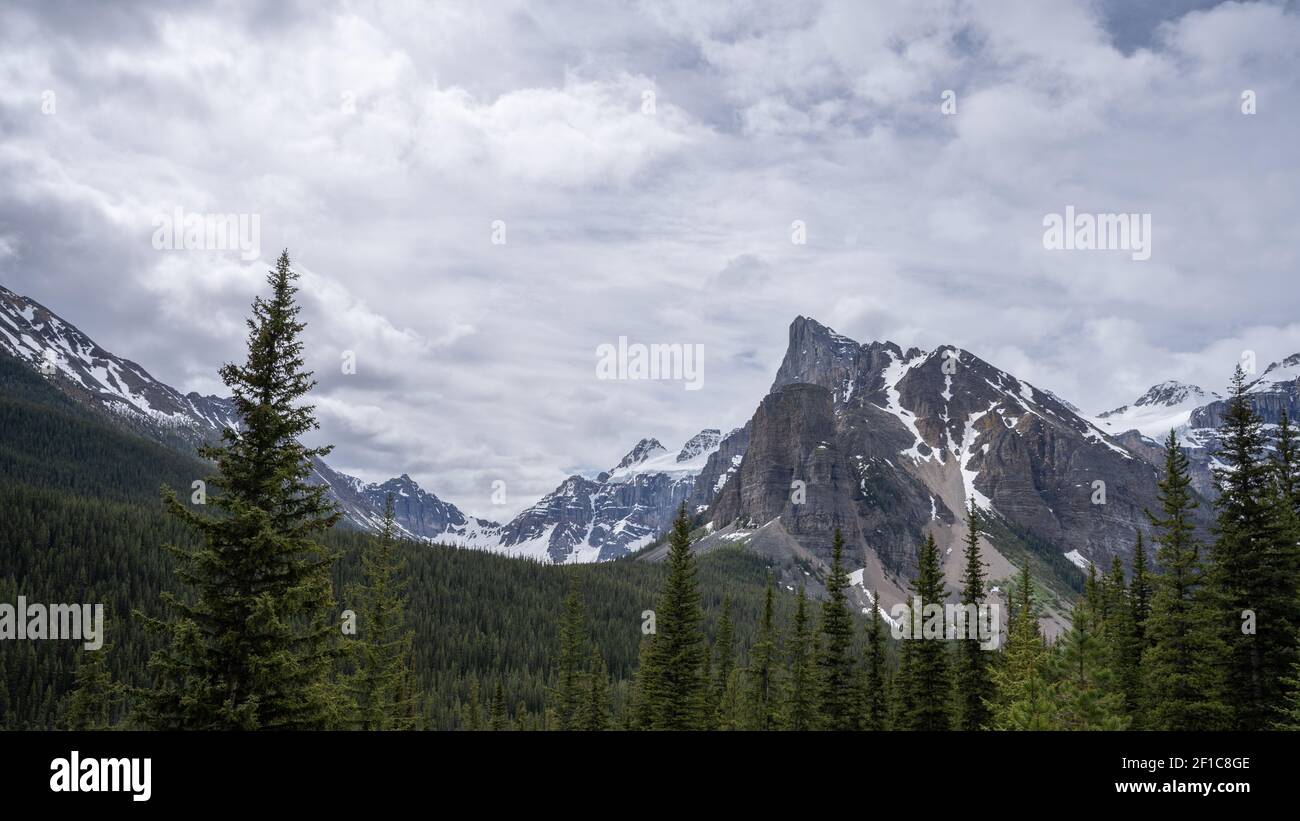 Beautiful alpine valley with snowy peaks and forest in foreground, shot ...