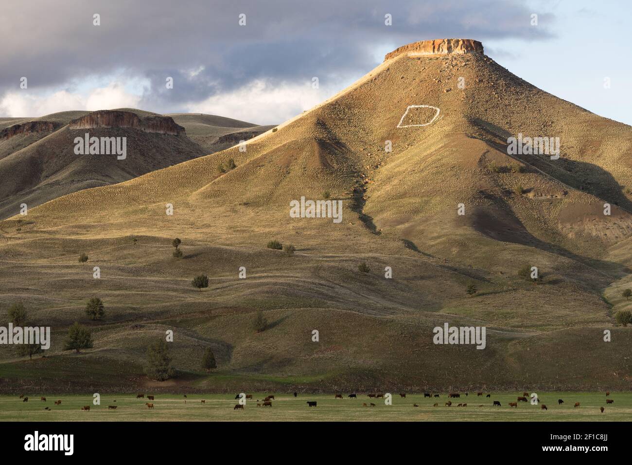 D for Dayville Grants County Route 26 Flat Top Ridge Oregon Stock Photo ...