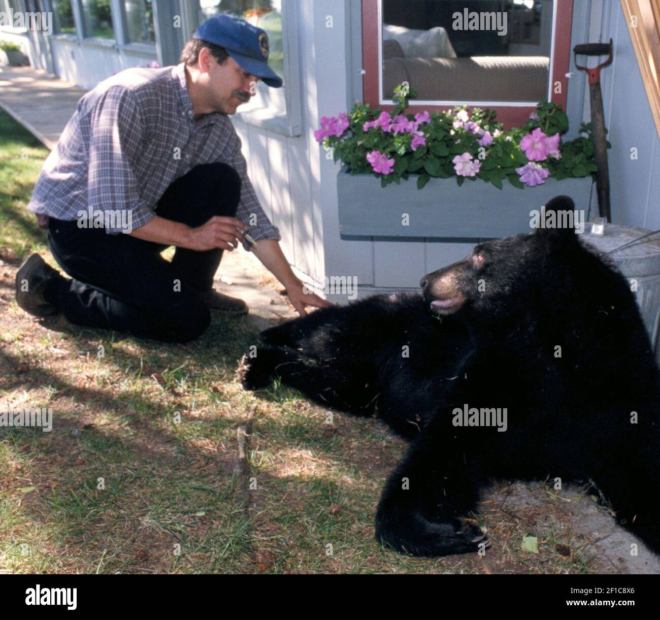 Alaska Department of Fish and Game area biologist Rick Sinnott works on ...