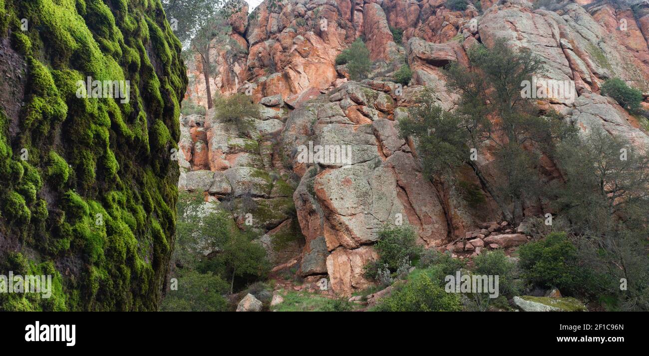Winter Time Pinnacles National Park Forest Trail California USA Stock ...