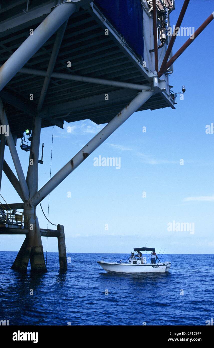 Offshore oil and gas platforms in the Gulf of Mexico often hold ...