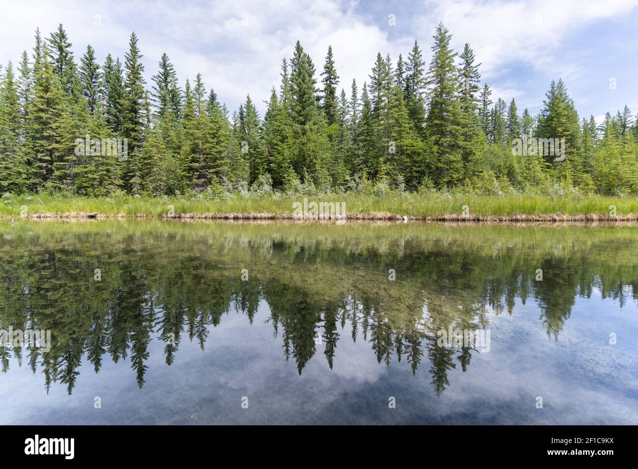Environment of canada hi-res stock photography and images - Alamy