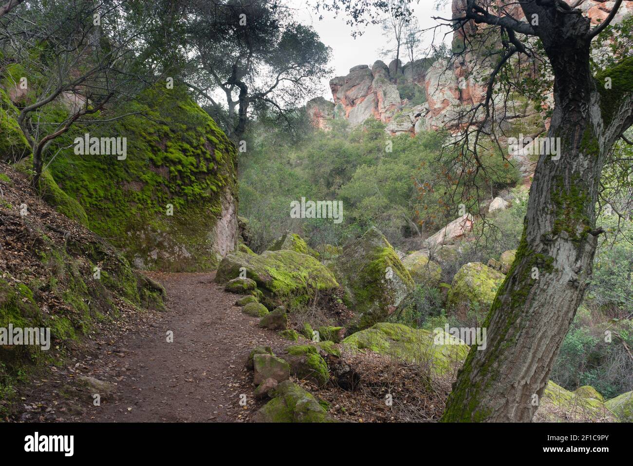 Winter Time Pinnacles National Park Forest Trail California USA Stock ...