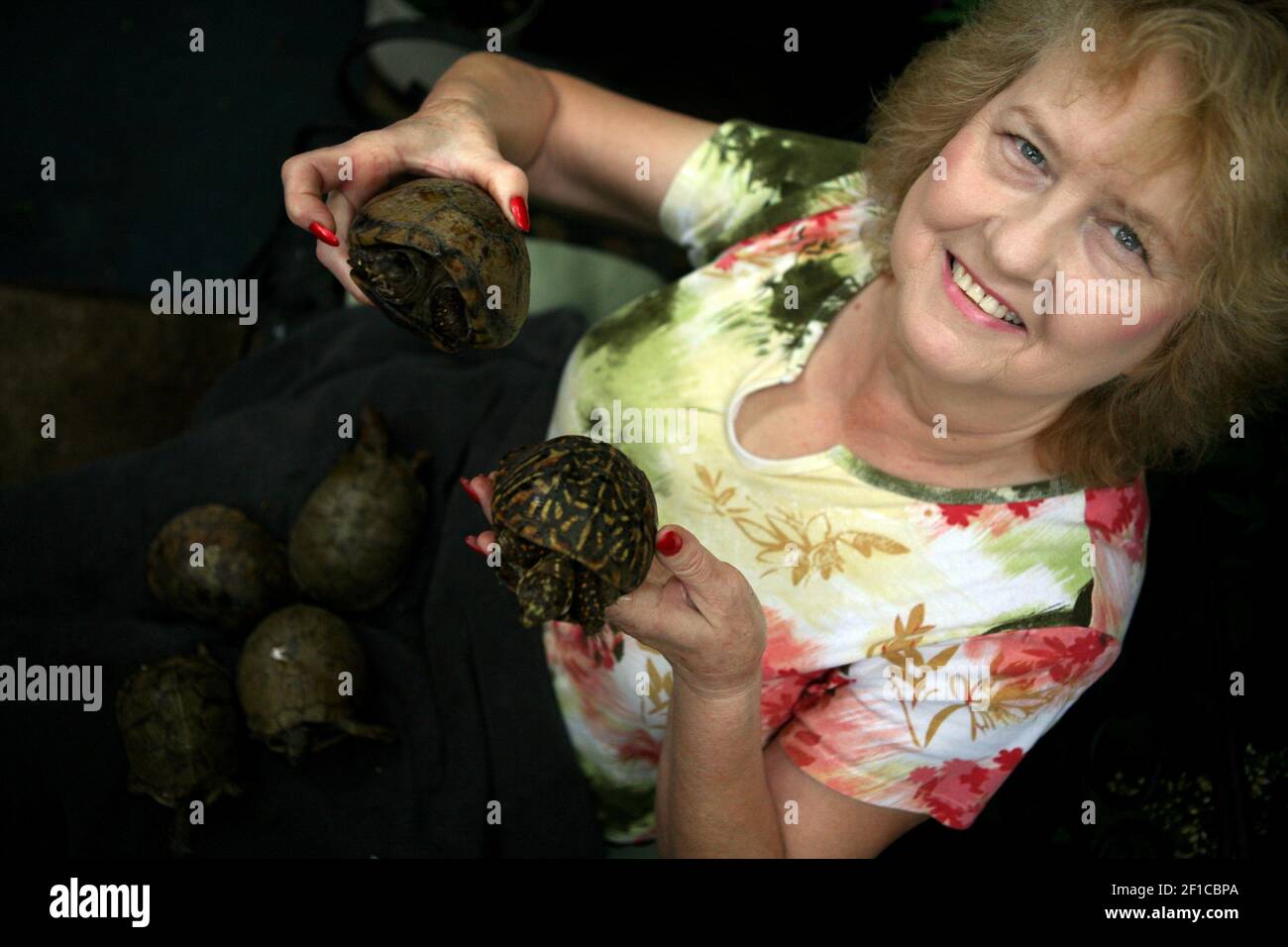 Rose Schroeder holds her turtles in her back yard in Garland, Texas ...