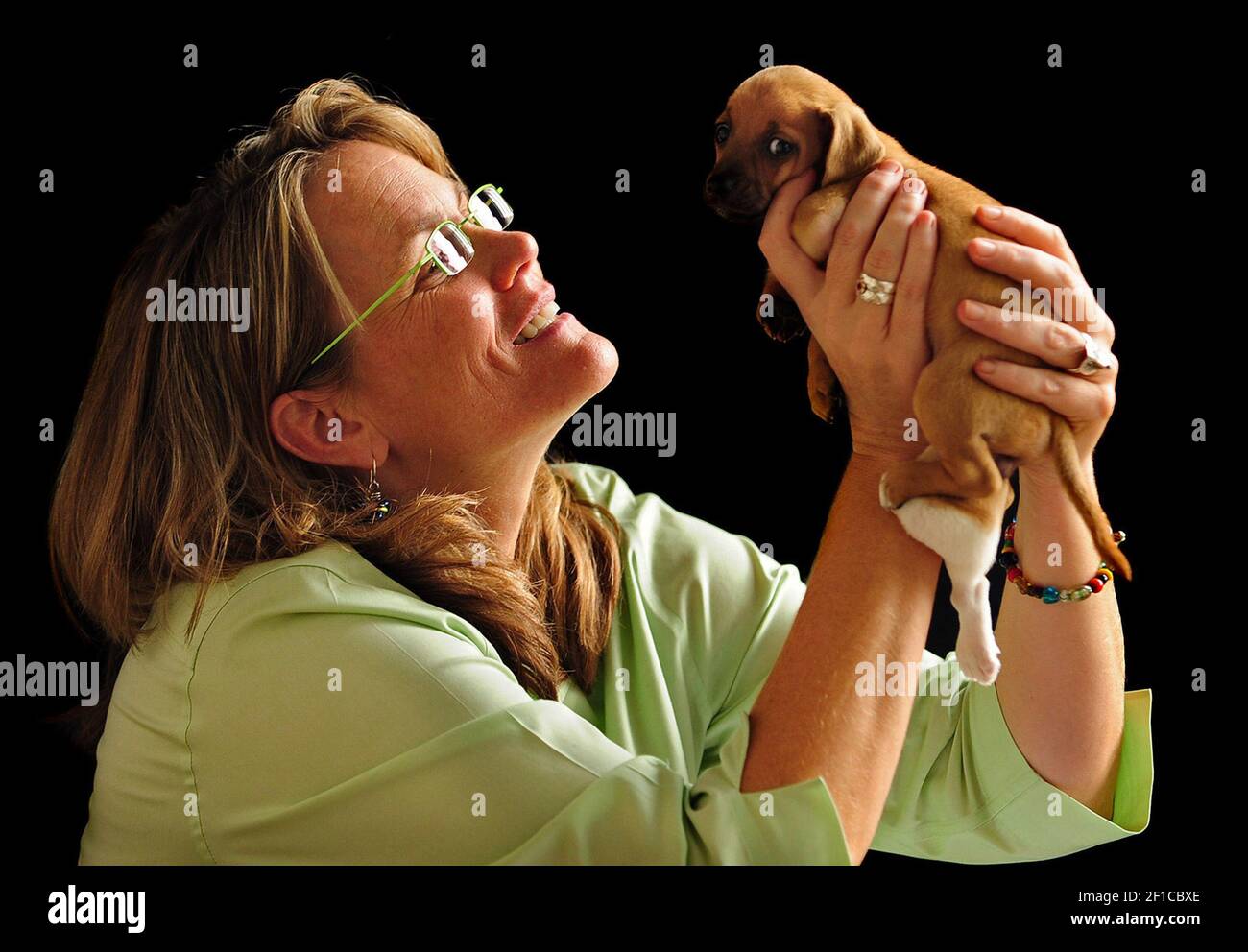 Allyson Siegel of Charlotte, North Carolina, rescued Lily, a Chihuahua ...