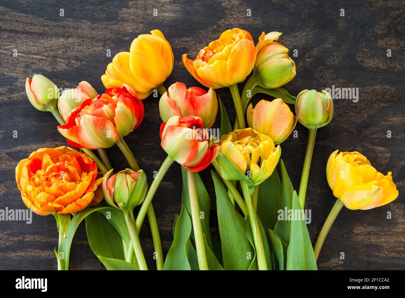 Horizontal colours hi-res stock photography and images - Alamy