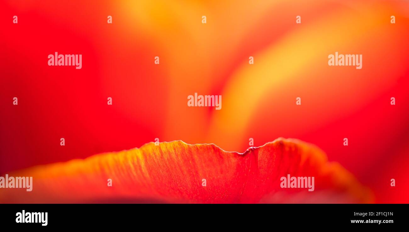 Magic of colours (1 Stock Photo - Alamy