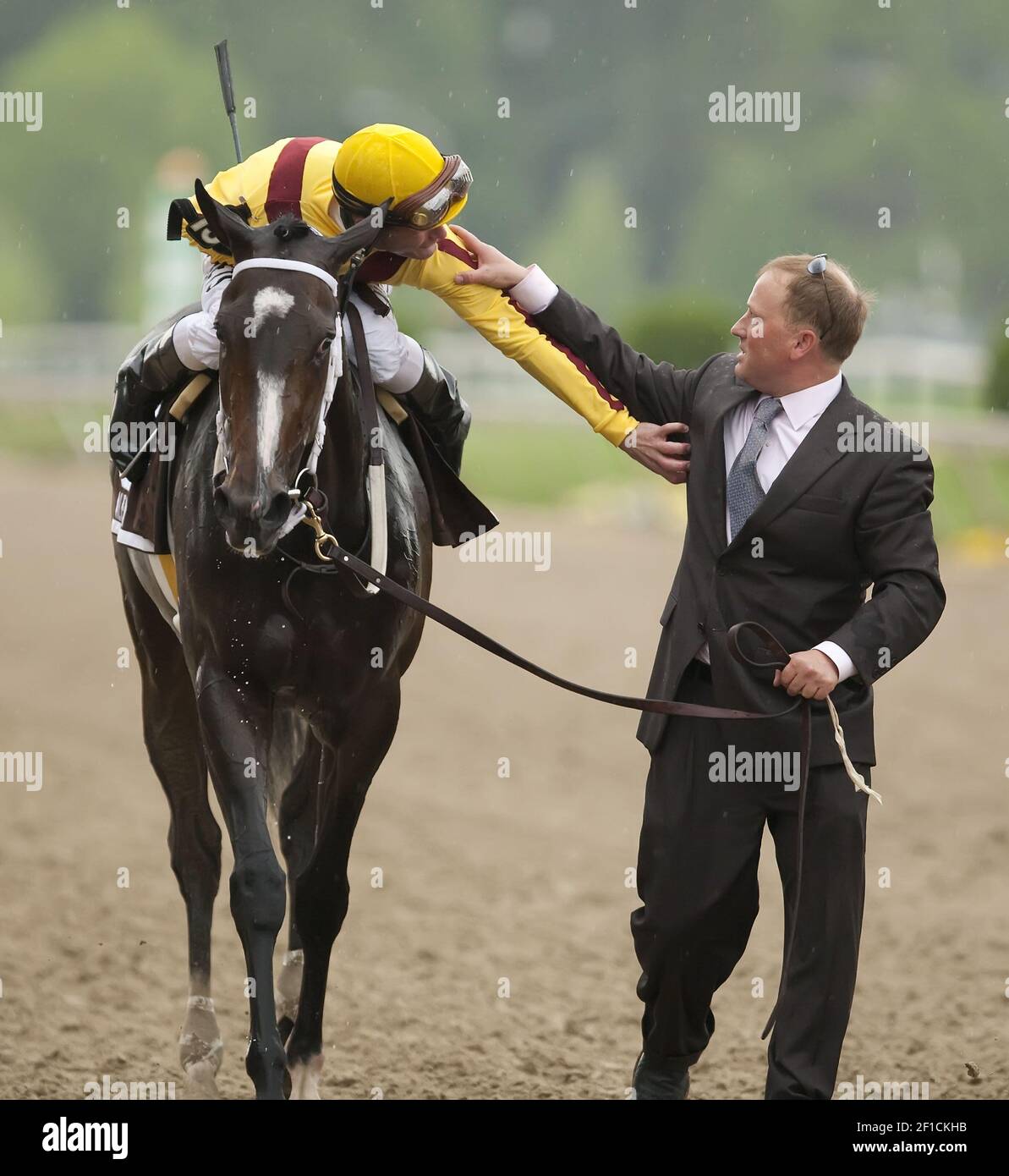 Rachel Alexandra Filly