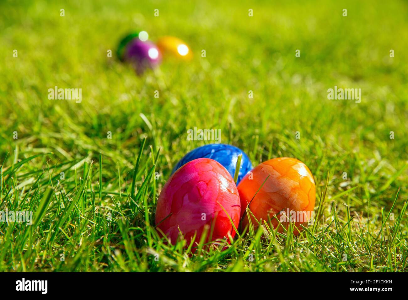Colorful painted Easter eggs in the bright fresh green grass, concept ...