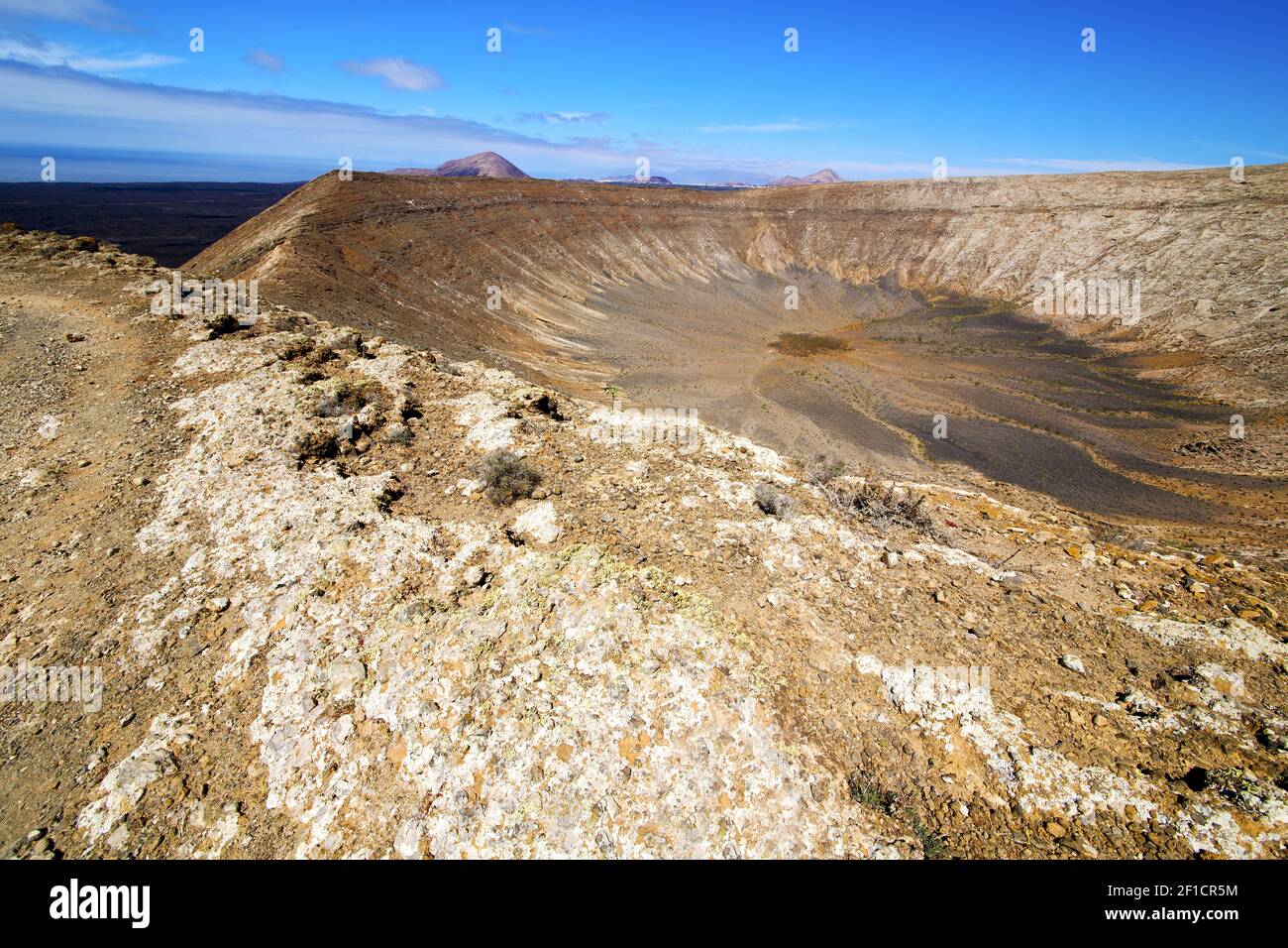 Atlantic flower plant bush timanfaya Stock Photo - Alamy