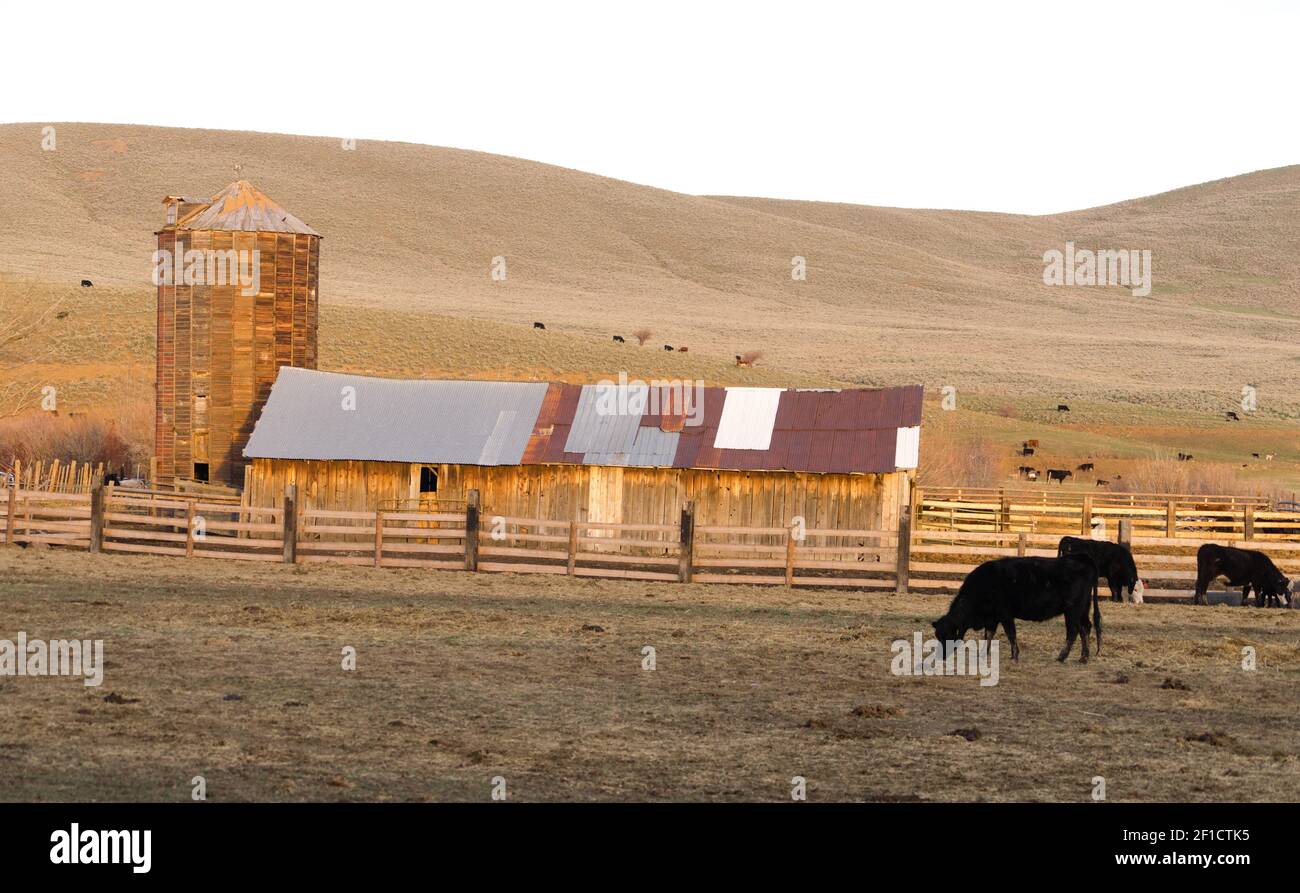 Sunset Rural Hills Cattle Ranch Farm Agriculture Barn Silo Stock Photo ...