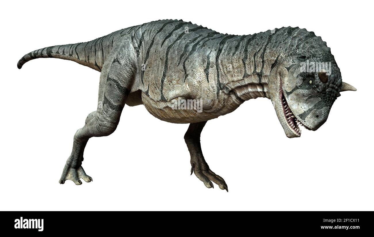 3D rendering of a Carnotaurus Sastrei dinosaur or flesh eating bull ...
