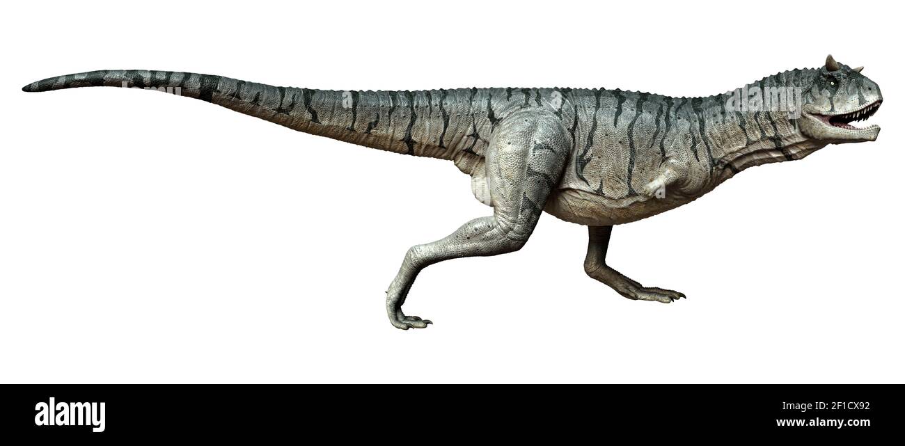 3D rendering of a Carnotaurus Sastrei dinosaur or flesh eating bull ...