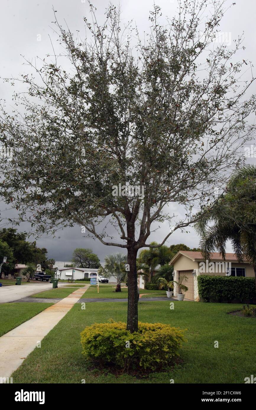 Green-gardening expert Carol Whitaker shares a few tips for your garden ...