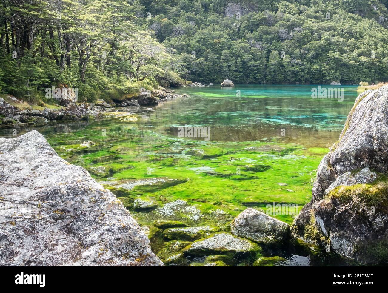 New zealand blue lake nelson hi-res stock photography and images - Alamy