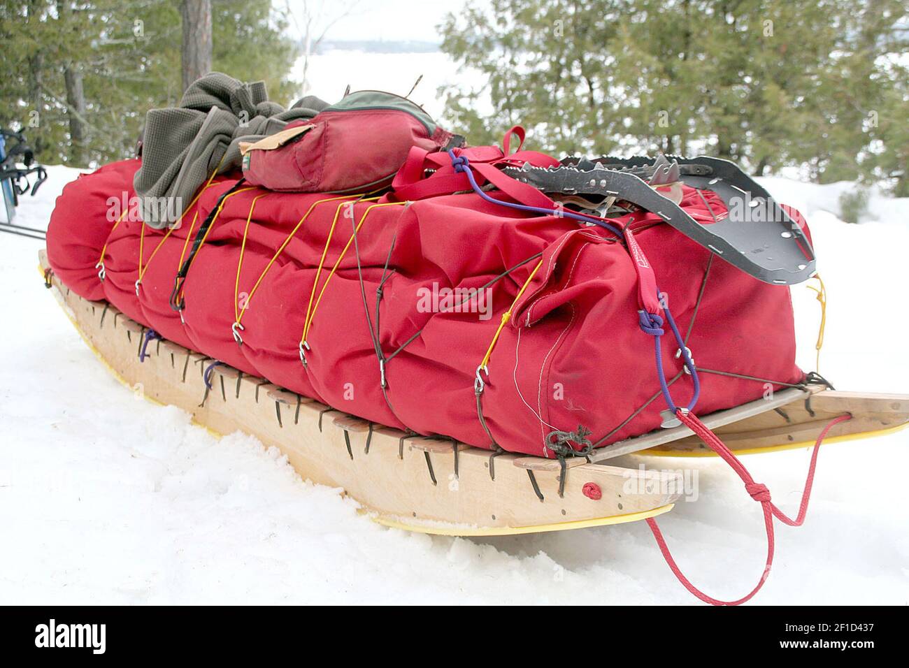Mark Hansen, of Grand Marais, built this komatik-style sled to haul his ...