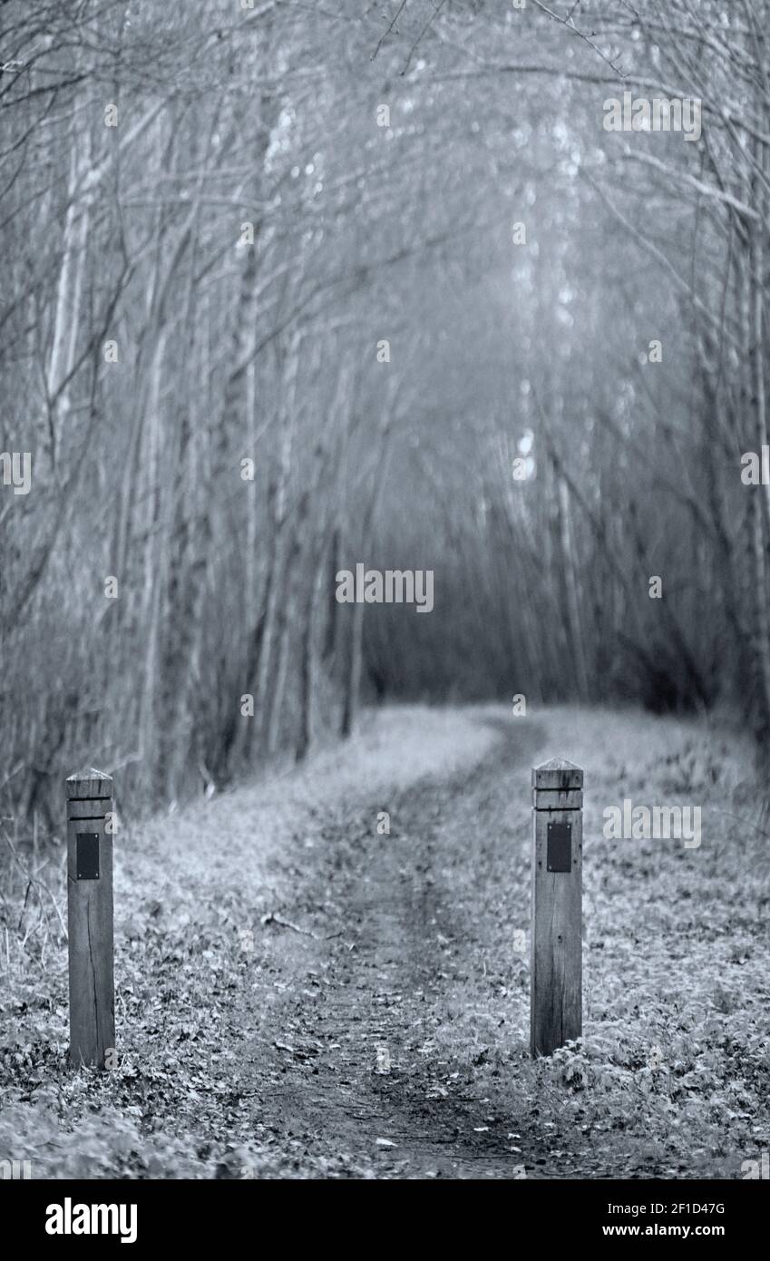 footpath broome norfolk england Stock Photo - Alamy