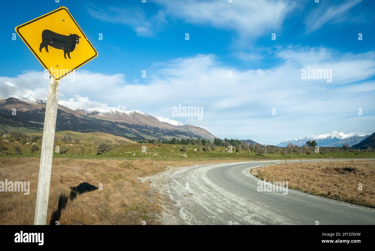 Sheep road sign on the side of curvy road with mountain backdrop and ...