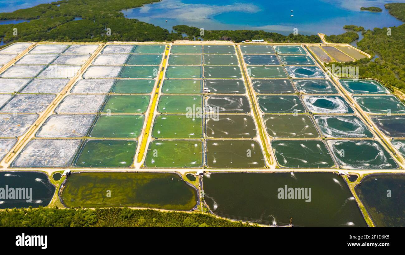 Prawn farm with aerator pump view from above. Bohol, Philippines. The ...
