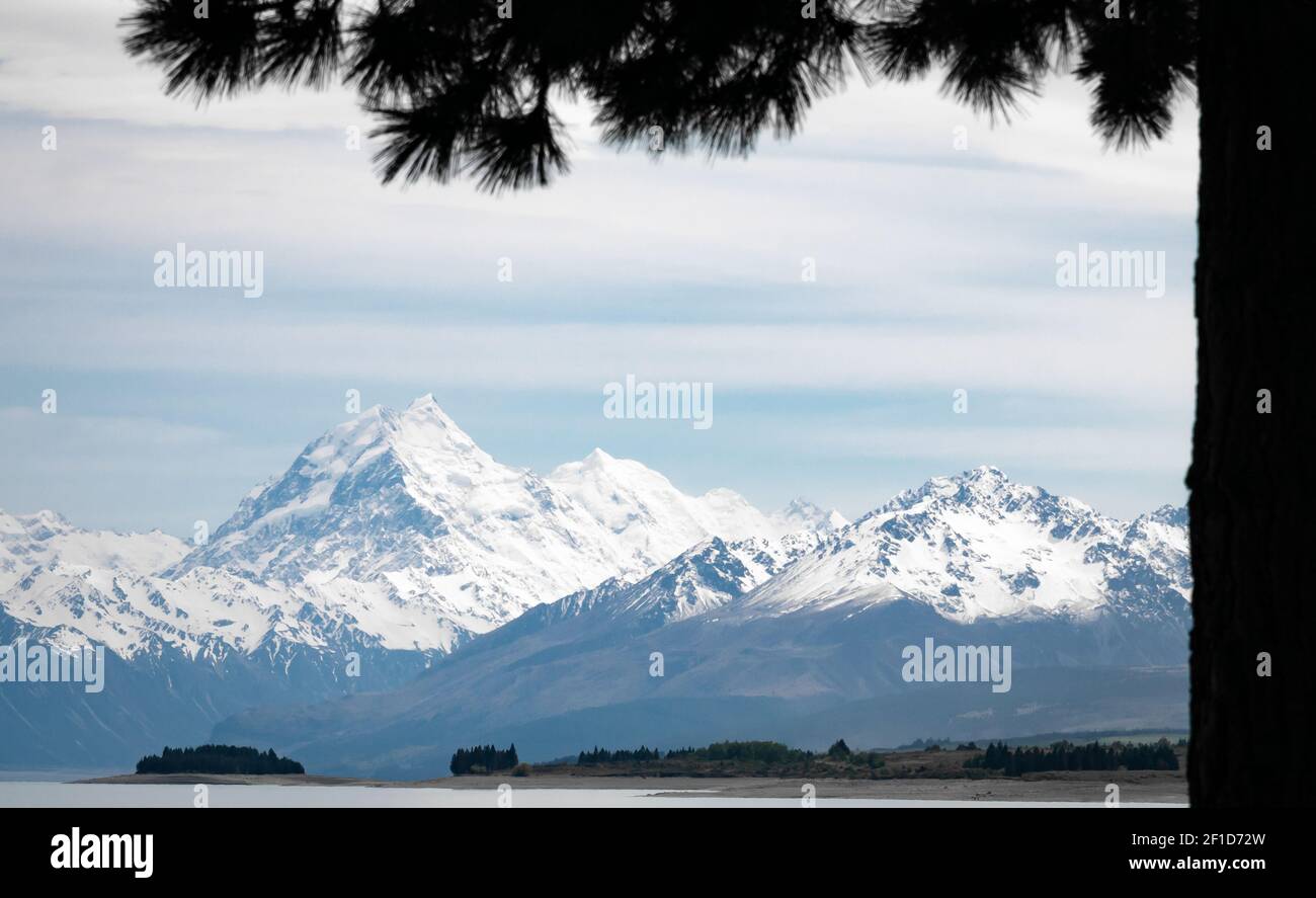 Majestic mountain (Mount Cook) covered with snow framed by tree ...