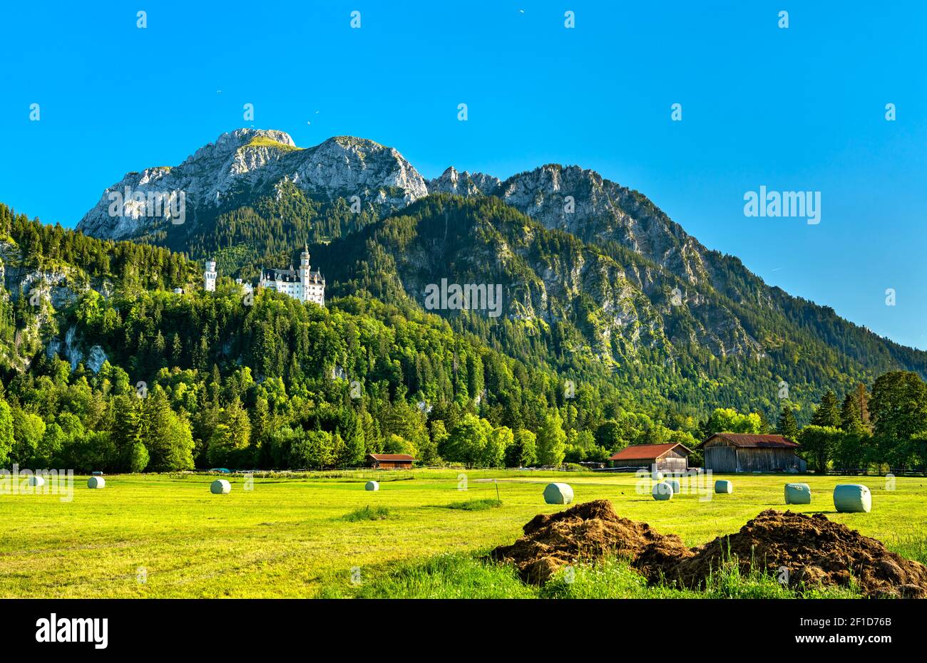 Neuschwanstein Castle with hay bales. Germany Stock Photo - Alamy
