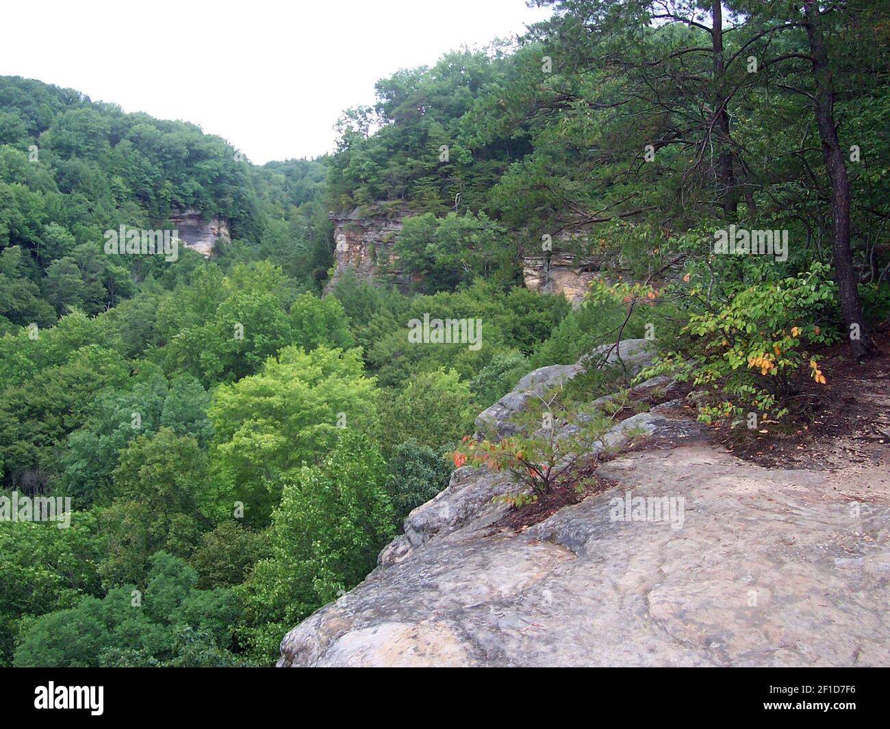 The sandstone cliffs at Conkle's Hollow State Nature Preserve are as ...