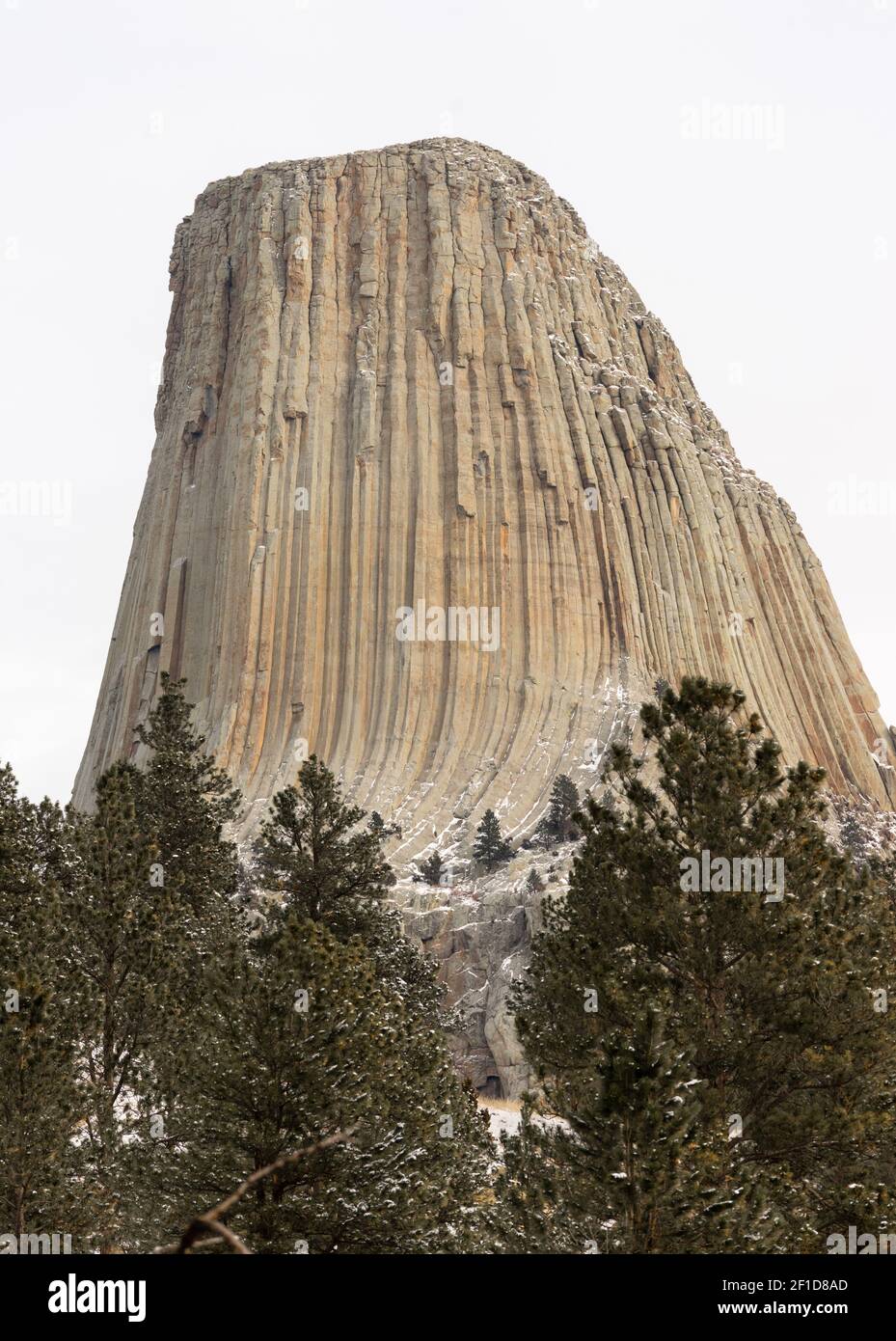 Devils Tower Wyoming Winter Snow Rock Butte Stock Photo - Alamy