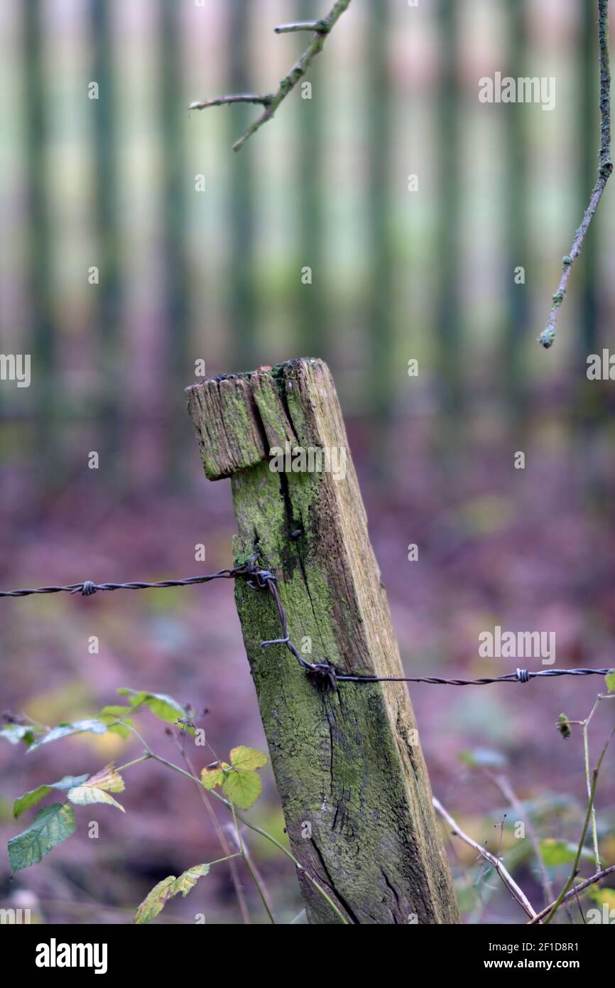 weathered wooden fence post with rusting barbed wire Stock Photo - Alamy