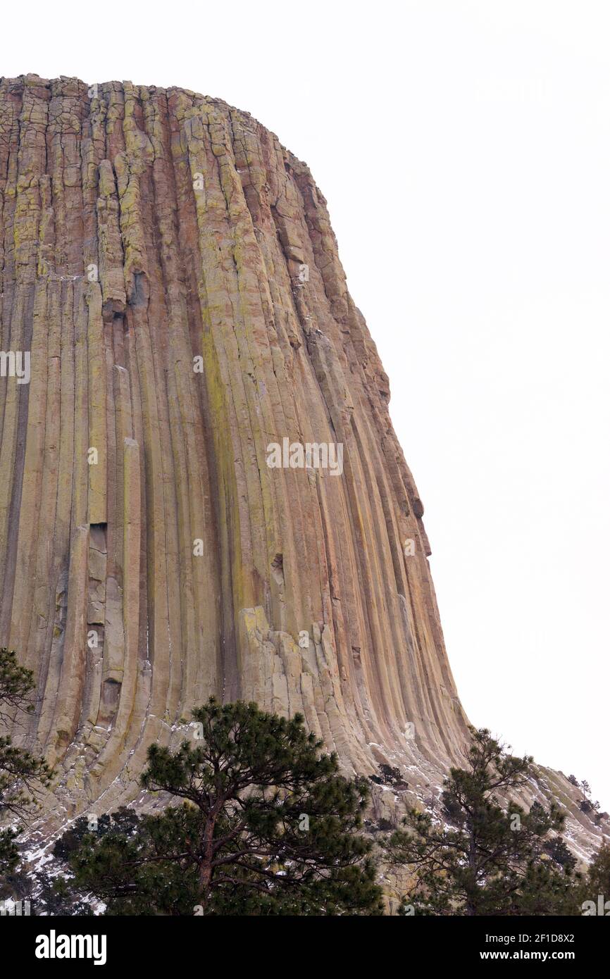 Devils Tower Wyoming Winter Snow Rock Butte Stock Photo - Alamy