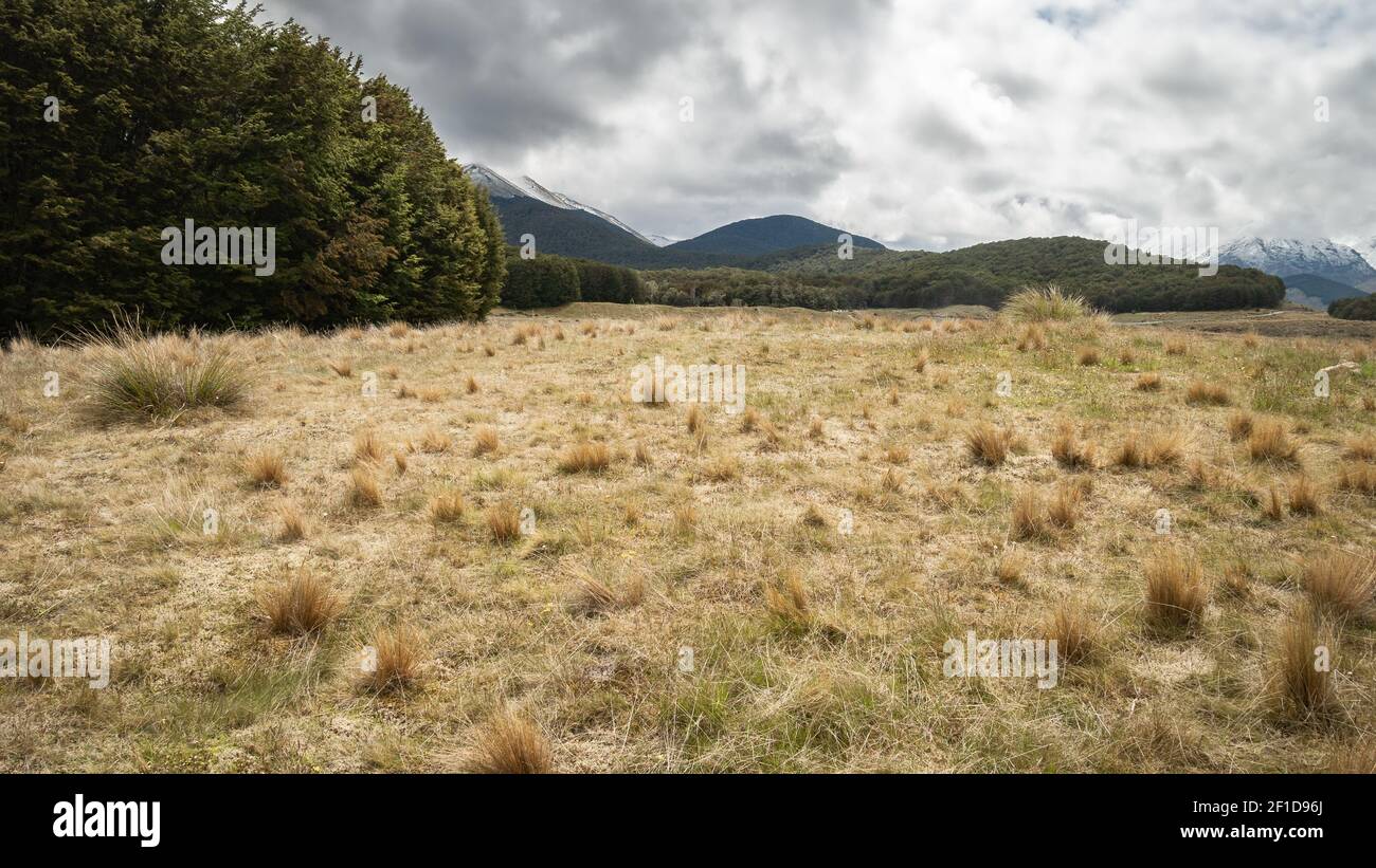 Lord of the rings orc hi-res stock photography and images - Alamy