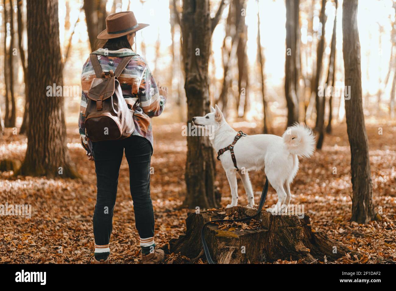 Female shepherd backpack hiking hi-res stock photography and images - Alamy
