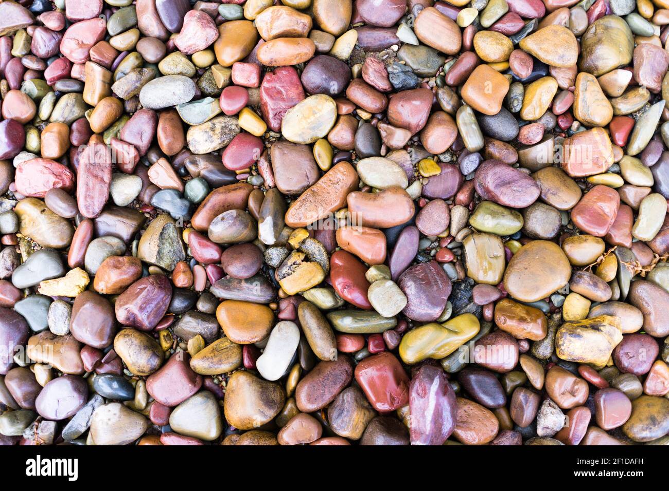 Smooth Rocks Lake McDonald Glacier National Park Montana Stock Photo ...
