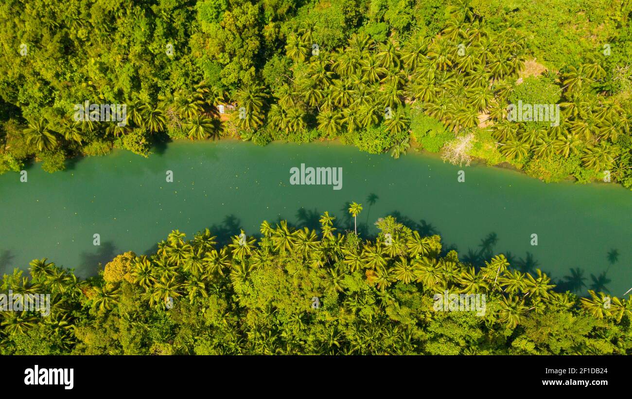 Aerial view of Loboc River in tropical green jungle. Bohol, Philippines ...