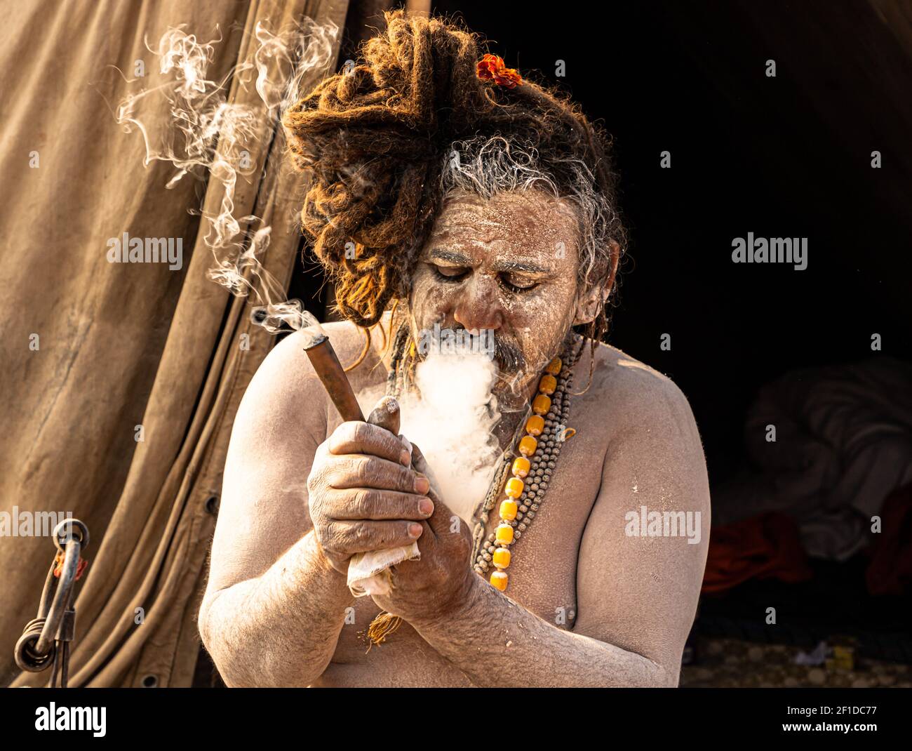 portrait of naga sadhu smokinh chillam at kumbh mela.kumbh is the ...