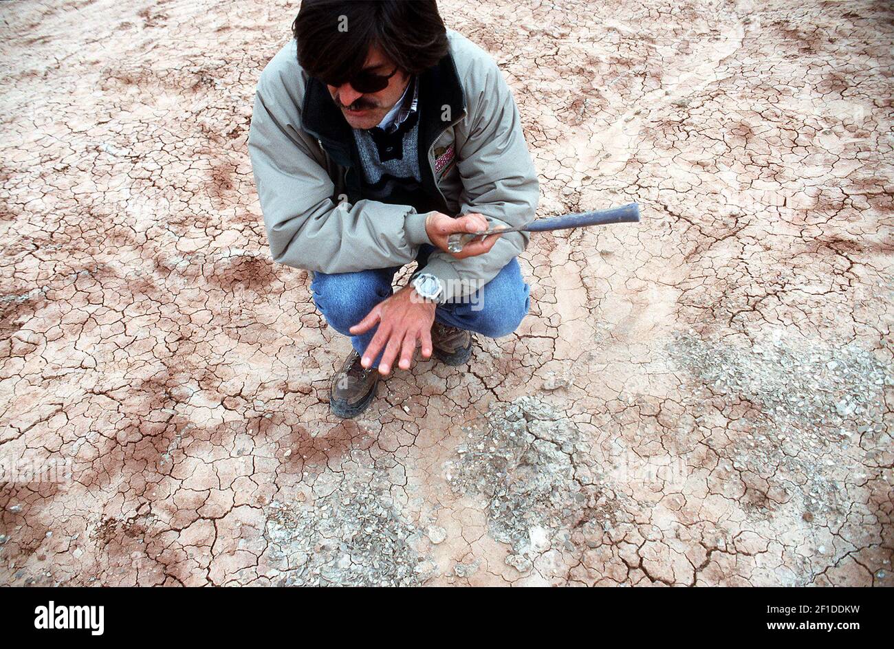 Find fossils hi-res stock photography and images - Alamy