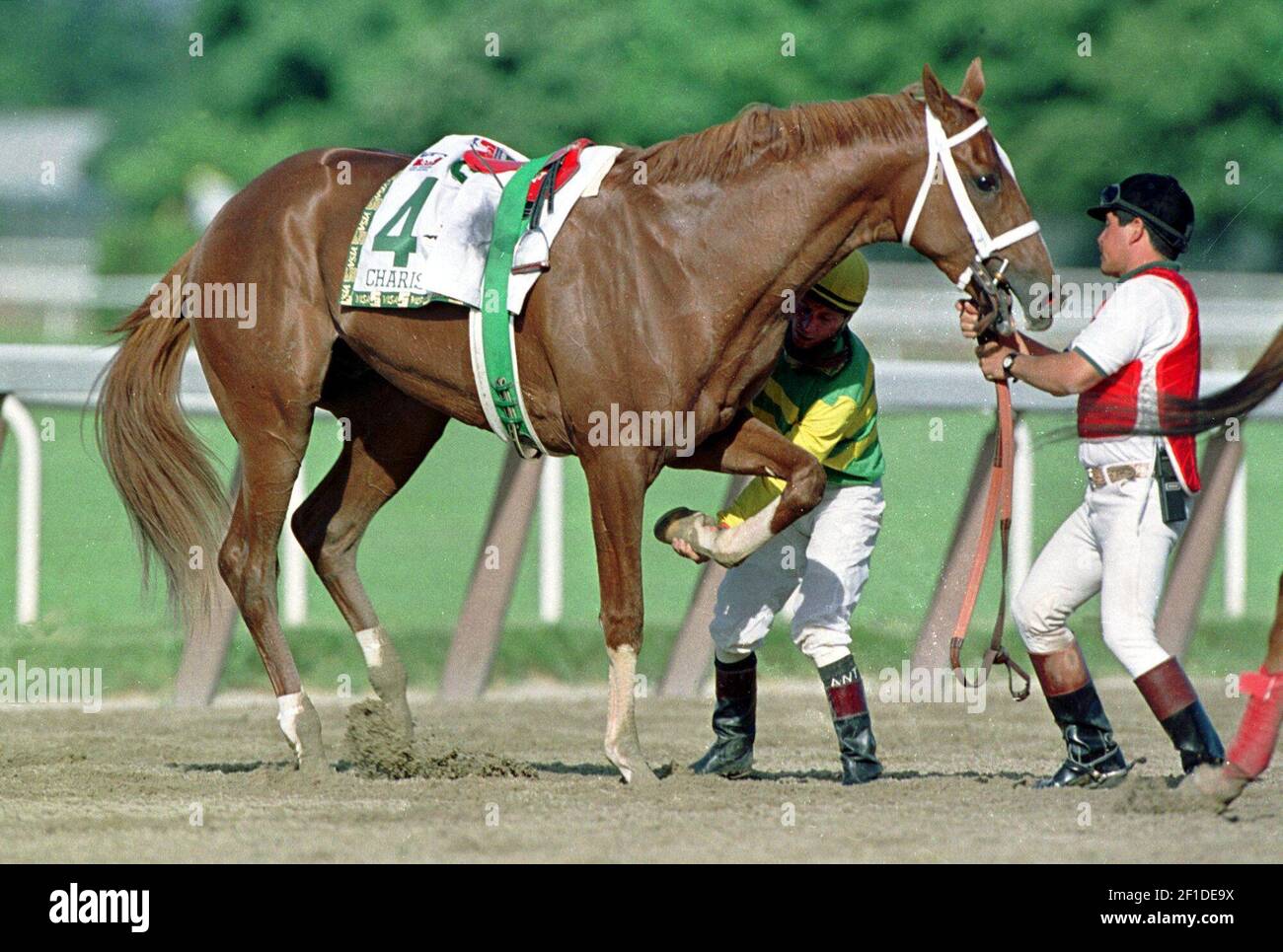 KRT SPORTS STORY SLUGGED: BELMONT KRT PHOTOGRAPH BY FRANK ANDERSON ...