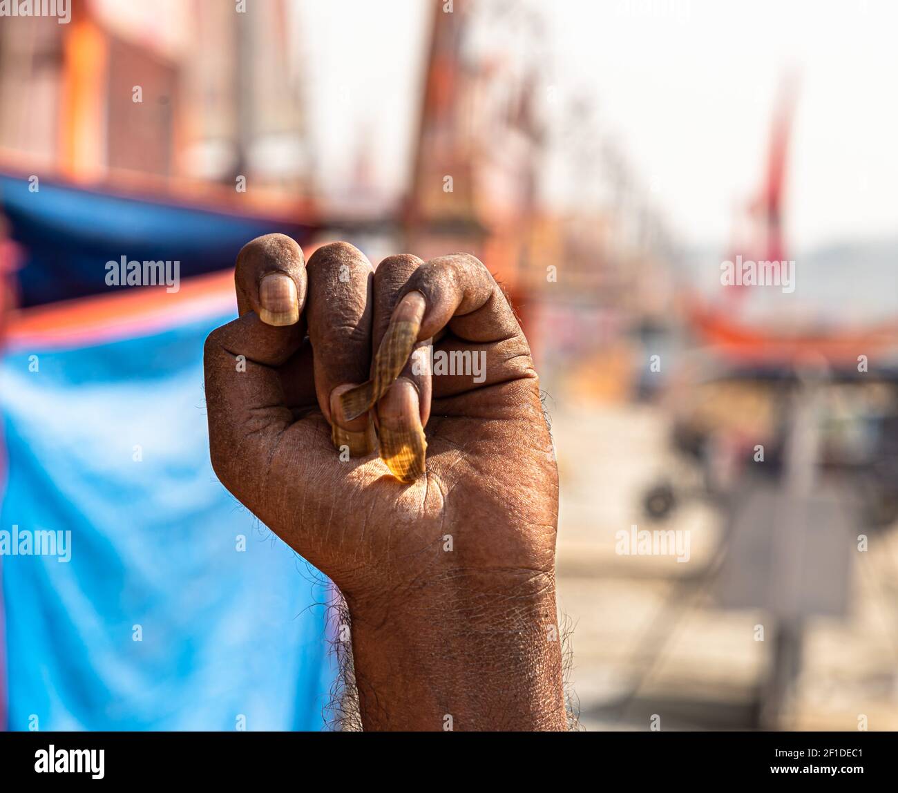 hand of naga sadhu with long nails at kumbh mela.kumbh is the largest ...