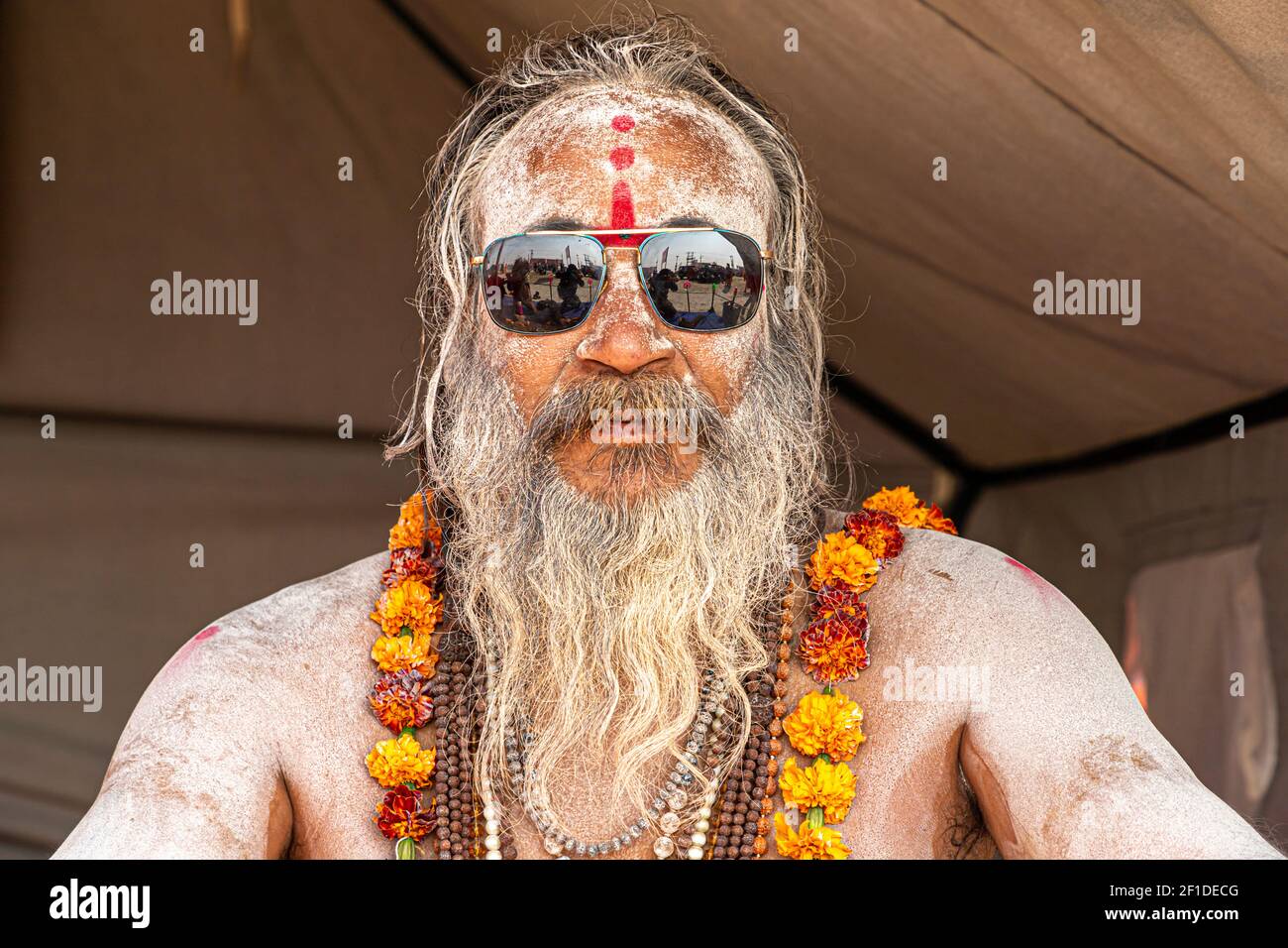 portrait of naga sadhu at kumbh mela.kumbh is the largest congregation ...