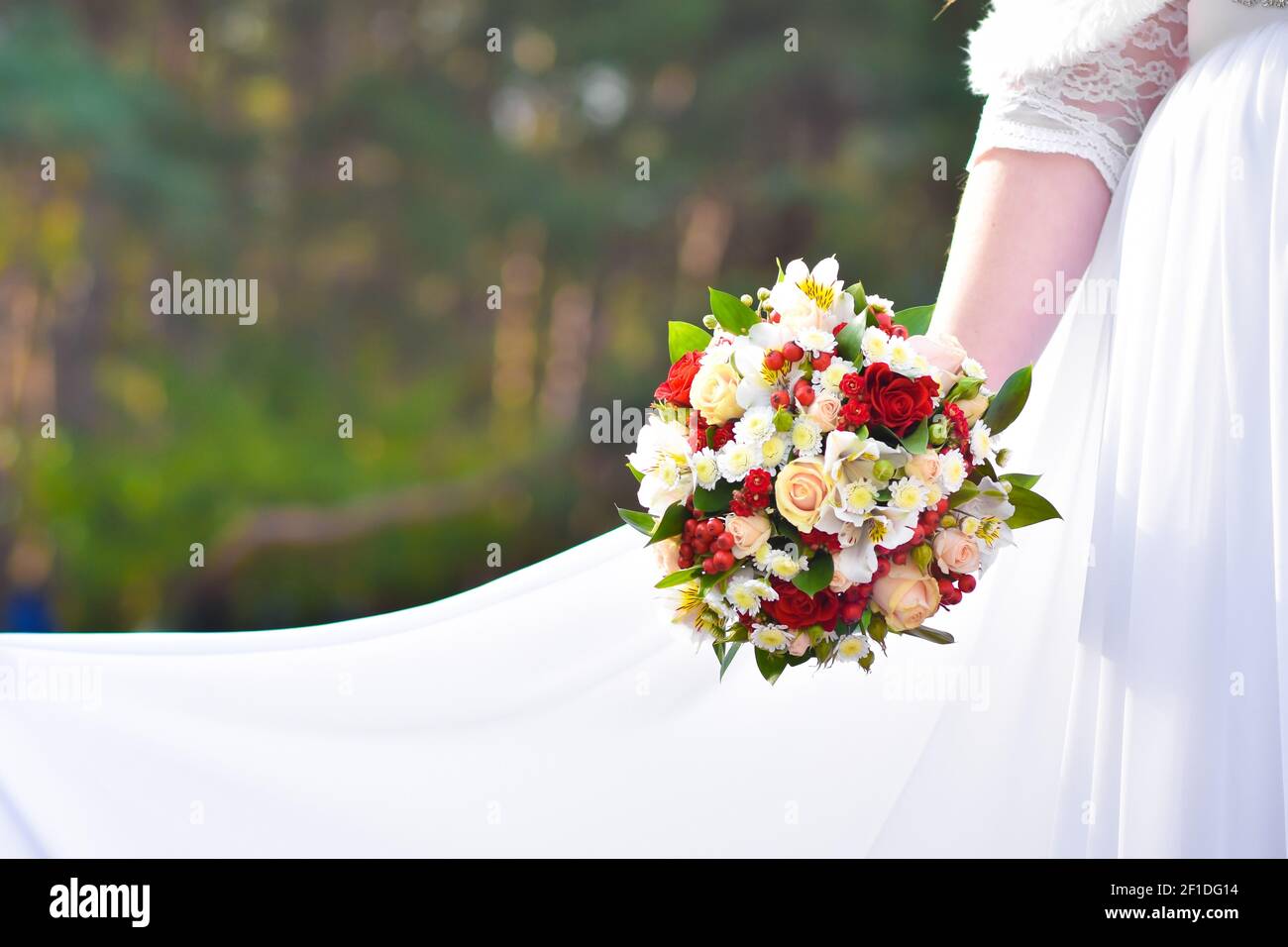 Wedding bouquet in the hands of the bride. A fat bride holds flowers ...